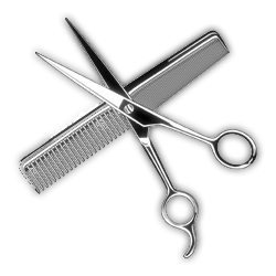 Uniform - Testwood School