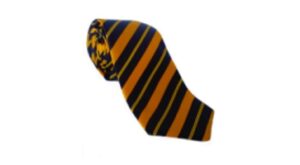 Year 6 Transition - Testwood School